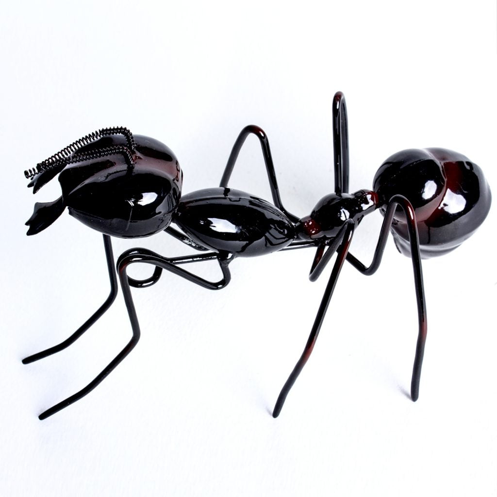 Bull Ant Medium Black – Pro Hart