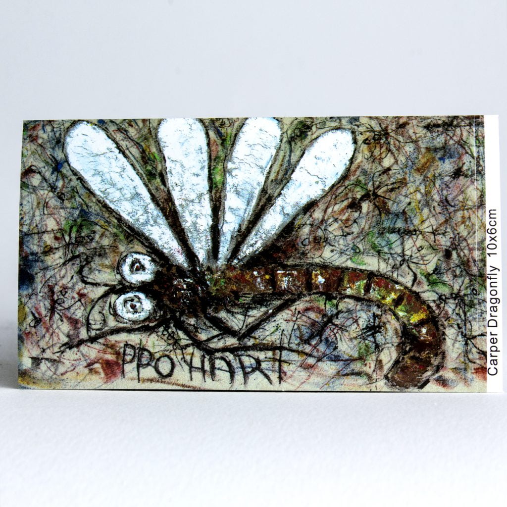 Sticker Carpet Dragonfly – Pro Hart